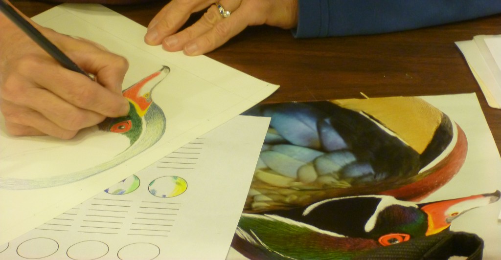 Classes – April Christenson artist