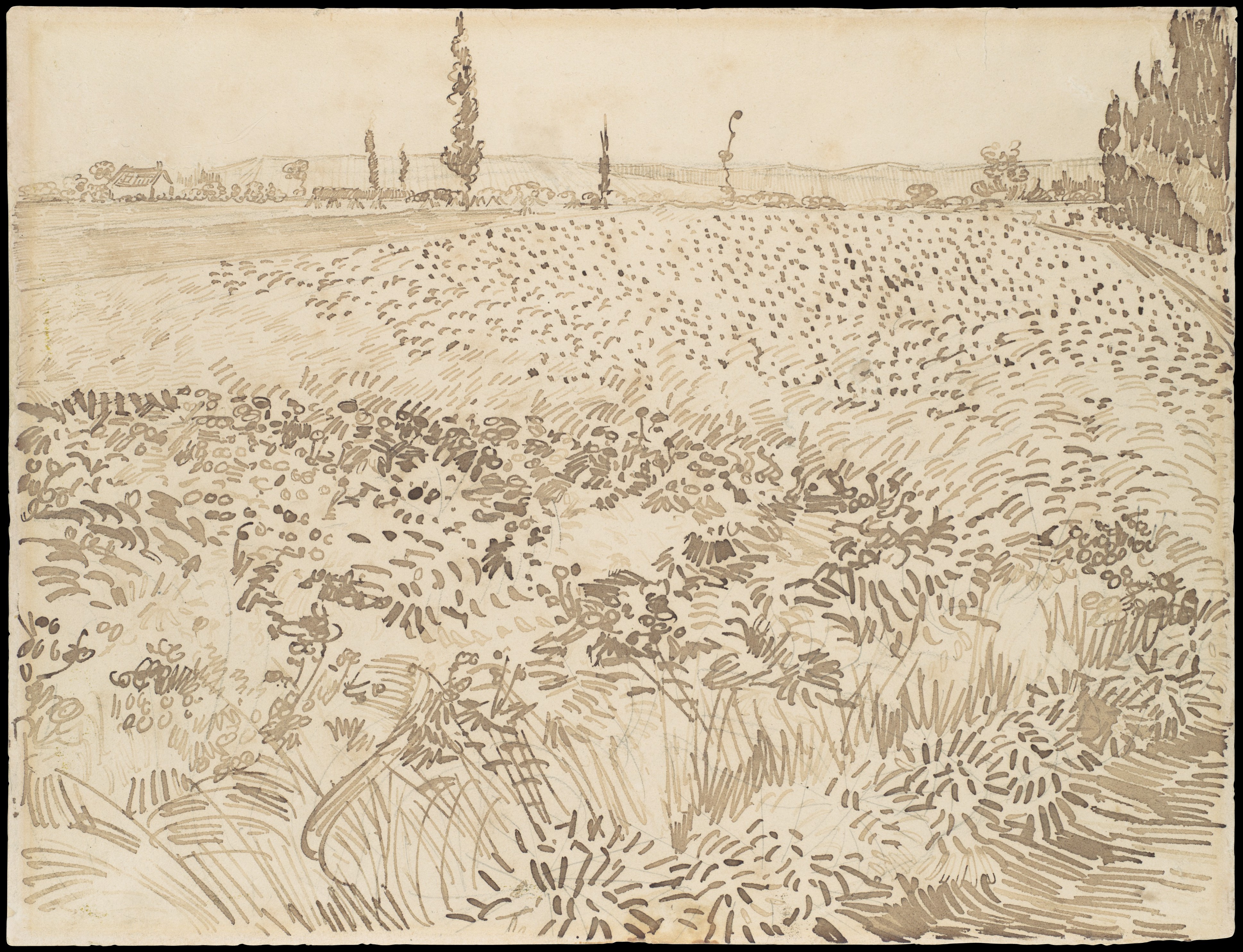 Van Gogh stated,”I sometimes think there is nothing so delightful as ...